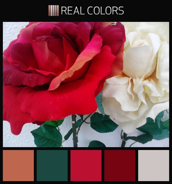 Real Colors Pro. Aplicación Android de ayuda al diseño. - Aitor Larumbe.com